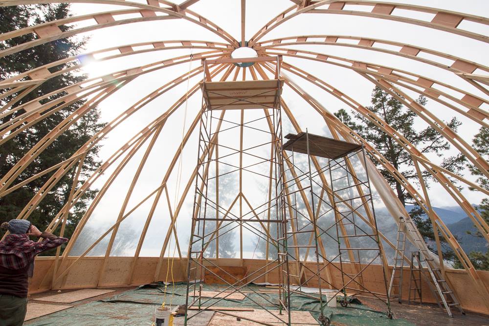 Jungle – Bryn Bamber